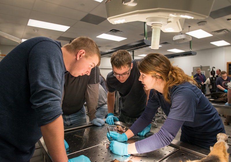 BYU-Idaho Learning and Teaching